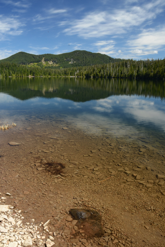 Columbia River Gorge Part I -> Wildflowers, Lost Lakes & Fruity Loops ...