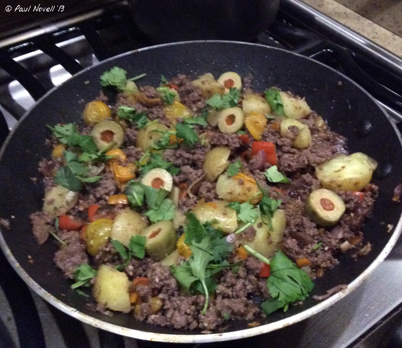 Bison Picadillo – Wheeling It: Tales From a Nomadic Life