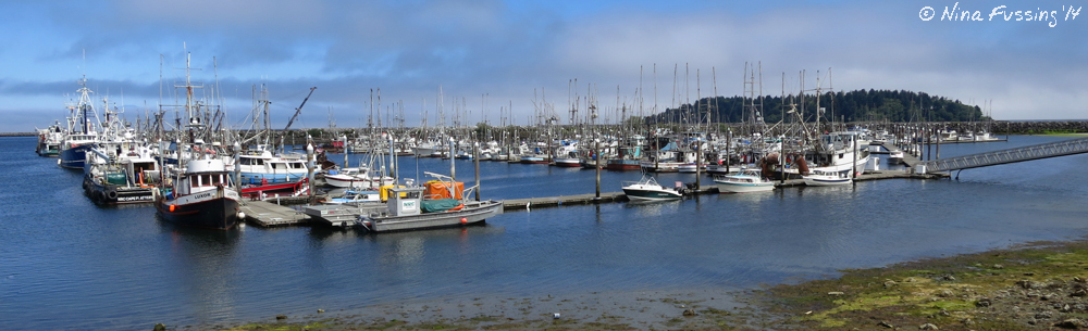 Bustling Neah Bay Marina – Wheeling It: Tales From a Nomadic Life