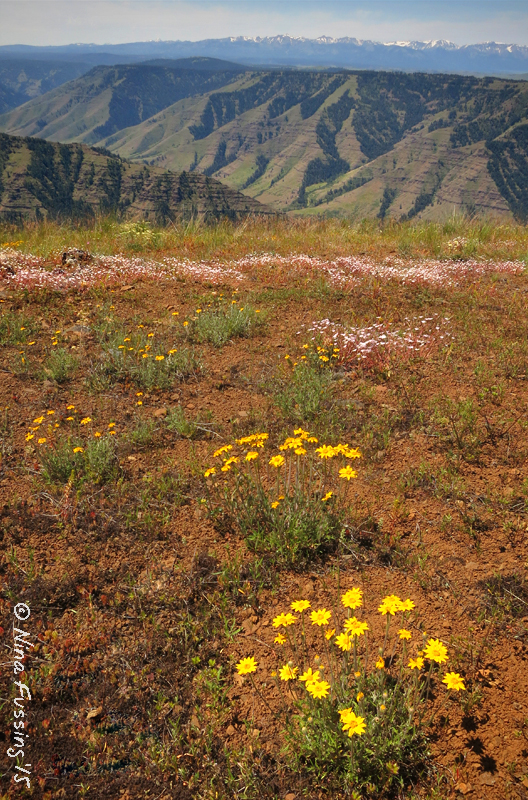 Stunning road views – Wheeling It: Tales From a Nomadic Life