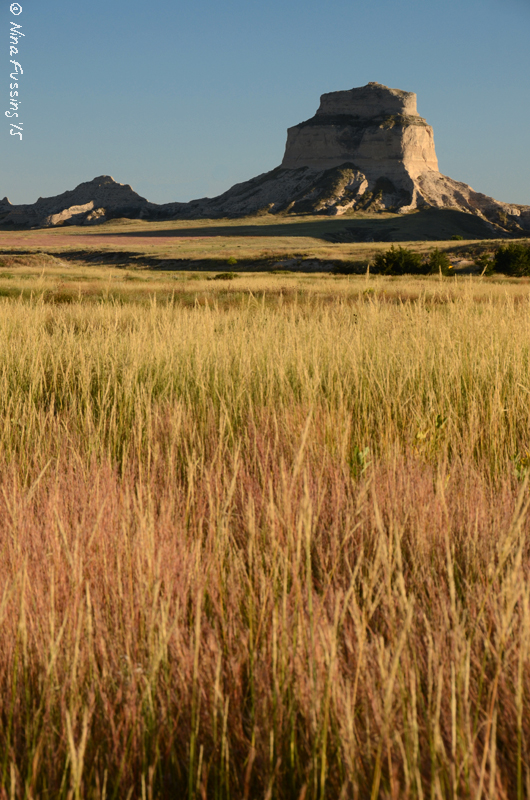 Grassy plains – Wheeling It: Tales From a Nomadic Life