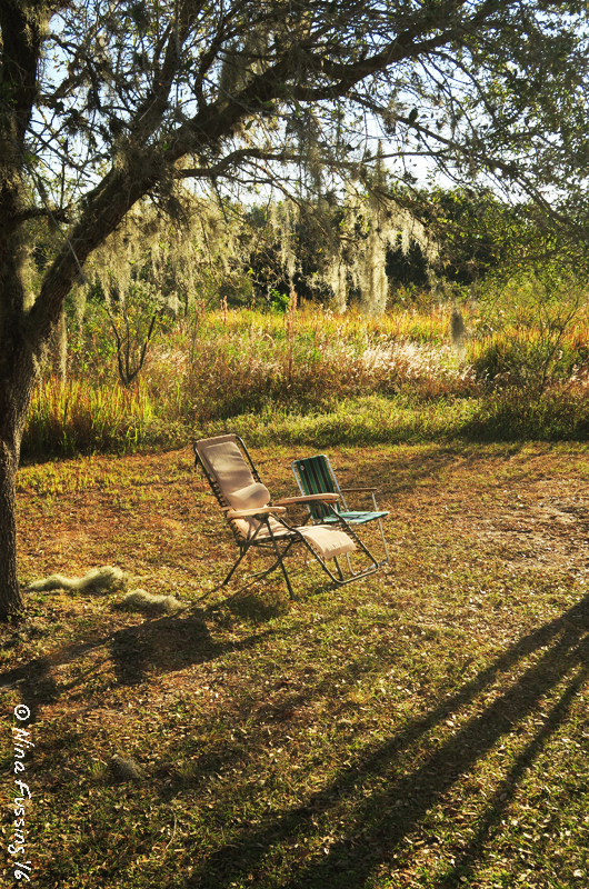 Alafia campsite – Wheeling It: Tales From a Nomadic Life