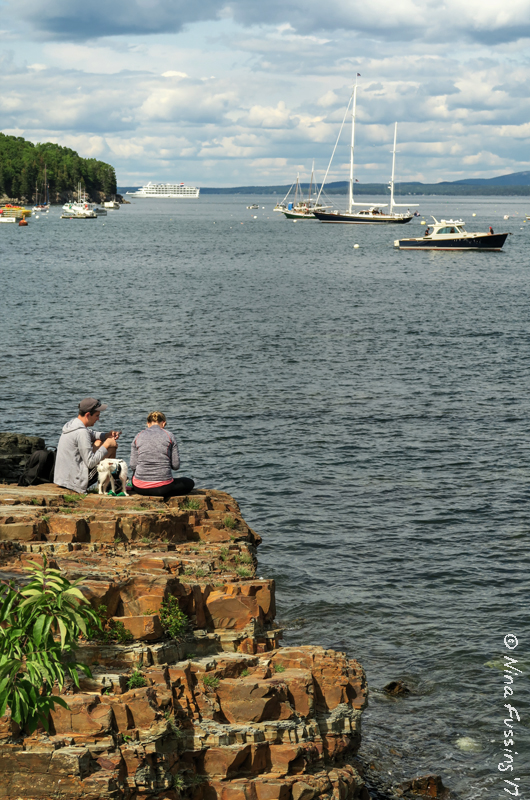 The Bar Harbor Path Trail – Wheeling It: Tales From a Nomadic Life