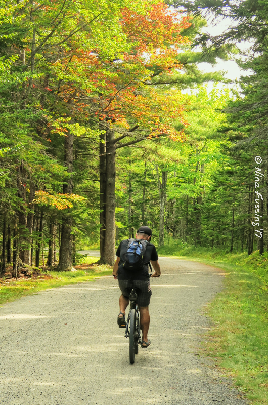 Carriage trail colors – Wheeling It: Tales From a Nomadic Life