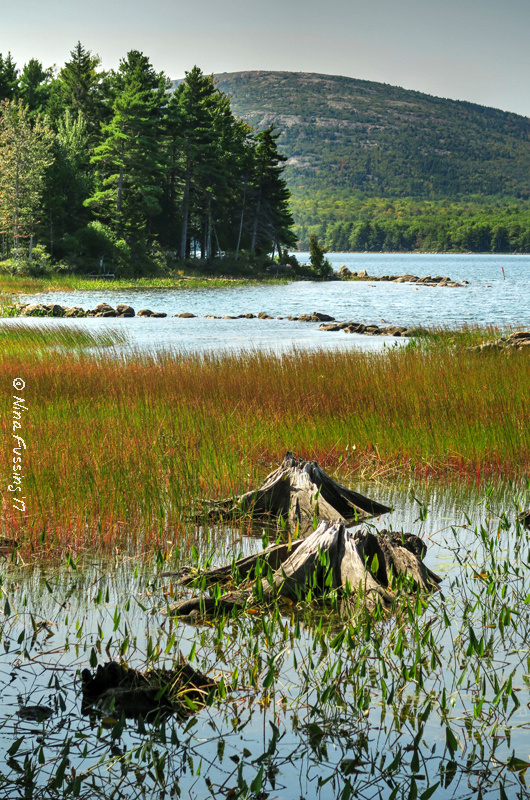 Carriage trail views – Wheeling It: Tales From a Nomadic Life