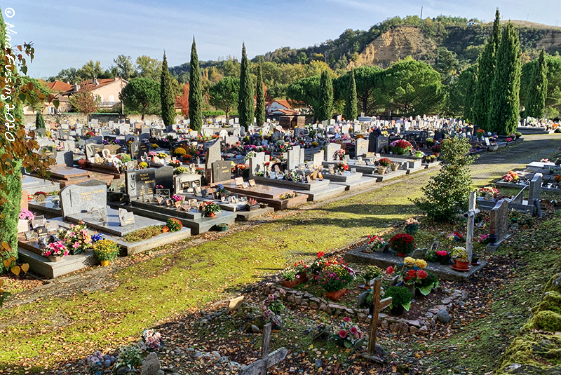 The graveyard becomes beautiful and somber – Wheeling It: Tales From a ...