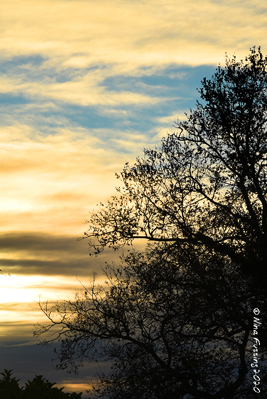 It’s Beginning To Feel A Lot Like…? – Wheeling It: Tales From a Nomadic ...