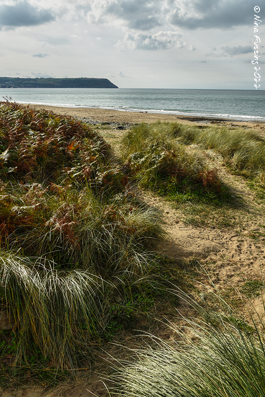 The entrance to Penbryn Beach – Wheeling It: Tales From a Nomadic Life