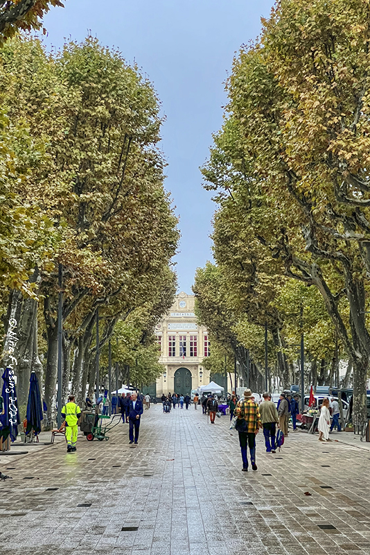 The famous Allée Paul Riquet in Beziers – Wheeling It: Tales From a ...